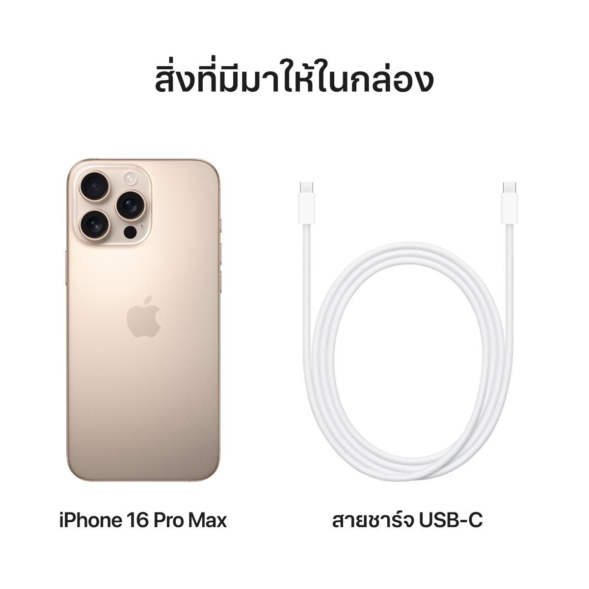 iPhone 16 Pro Max